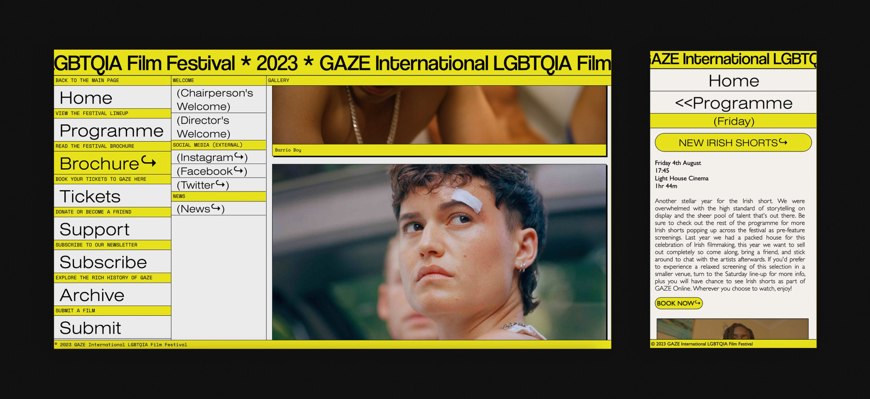 GAZE International LGBTQIA Film Festival – 100 Archive