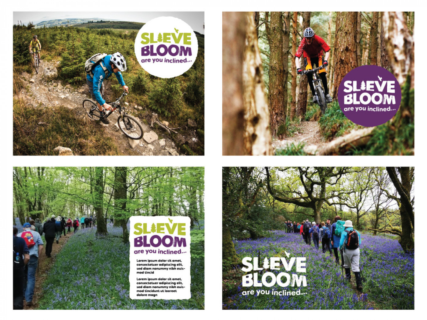 Slieve Bloom – 100 Archive