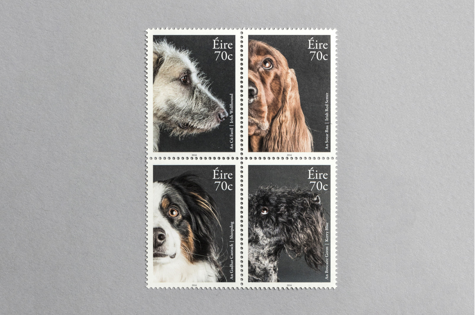 Irish Dog Breeds Stamps – 100 Archive