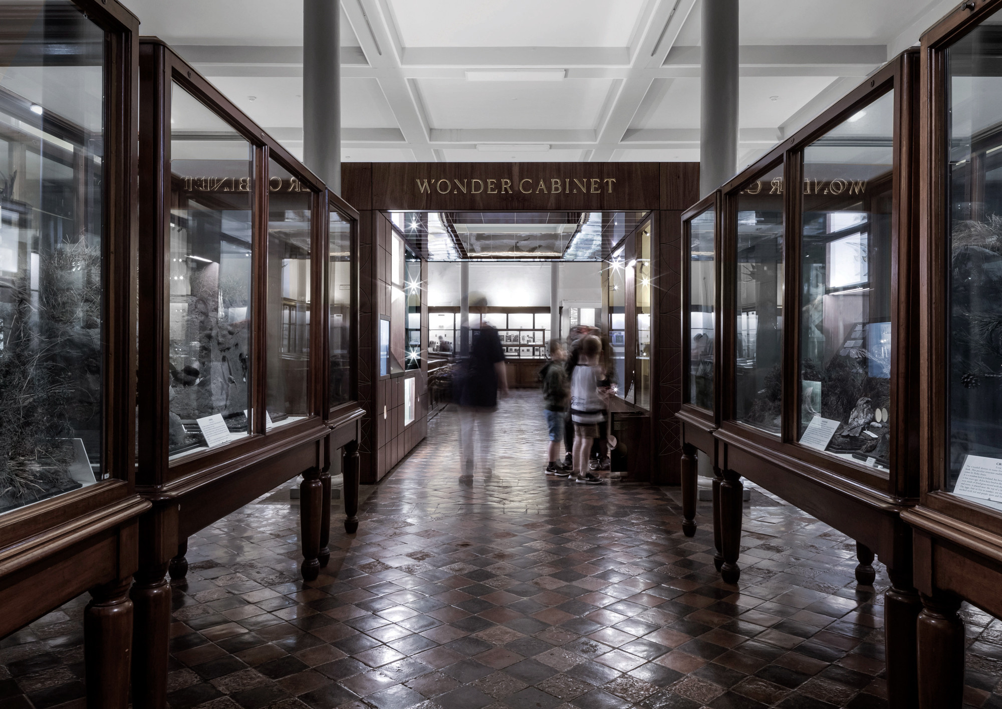 NMI Wonder Cabinet – 100 Archive