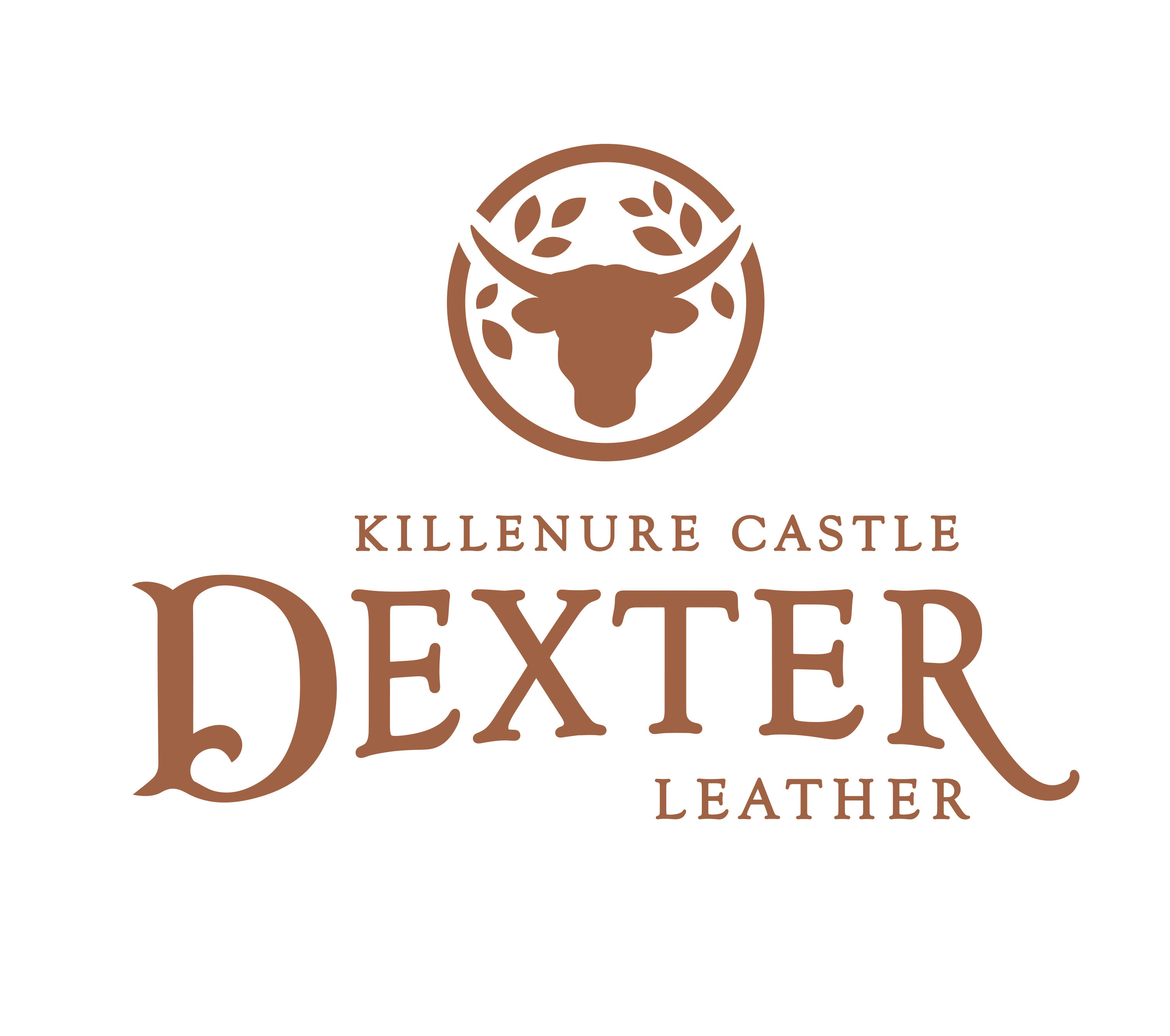 Dexter Leather by Killenure Castle – 100 Archive