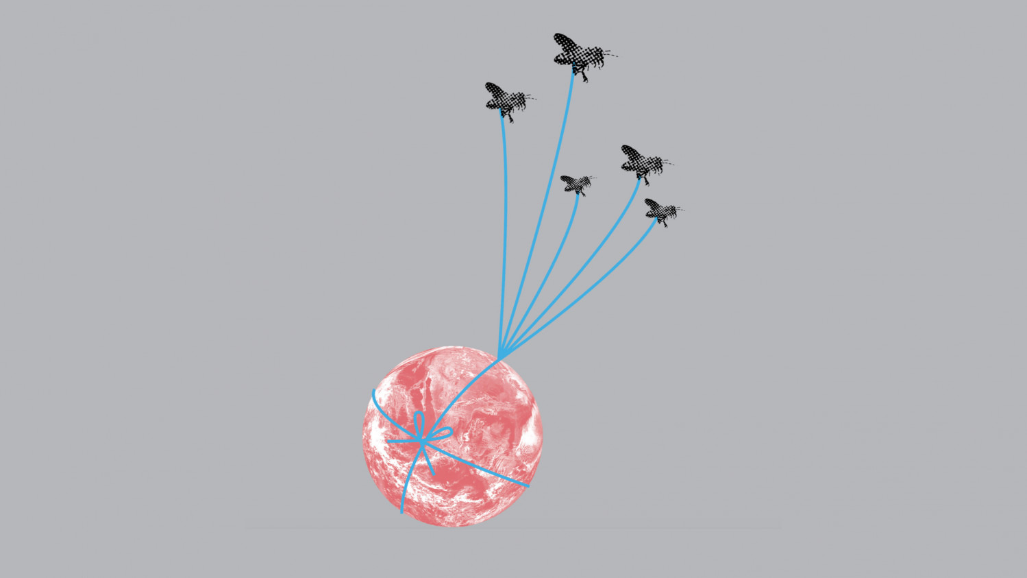 Demonware Values Visualisation – 100 Archive