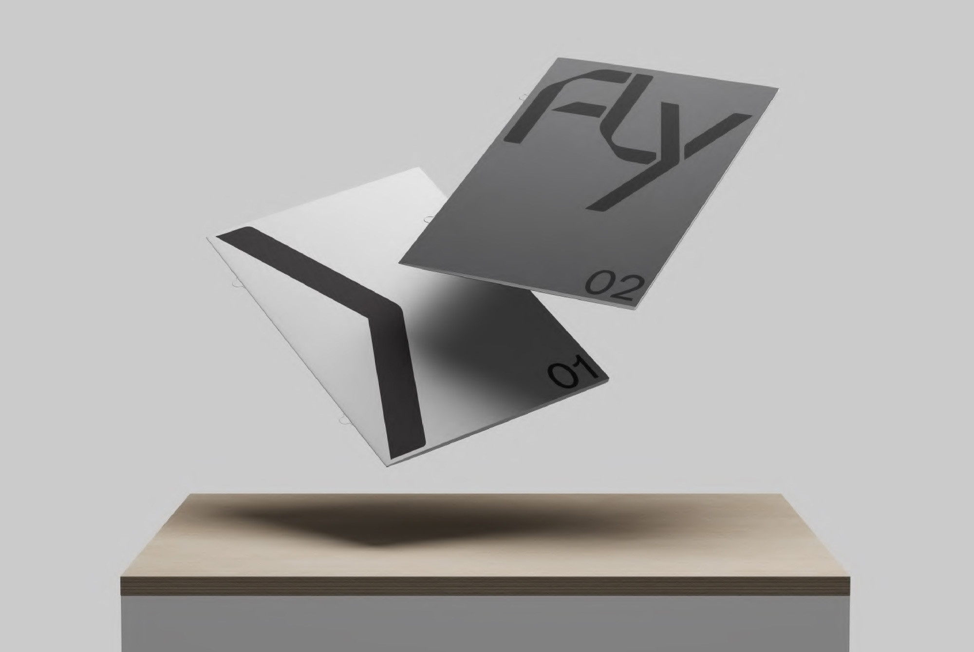 Fly Ventures Rebrand – 100 Archive