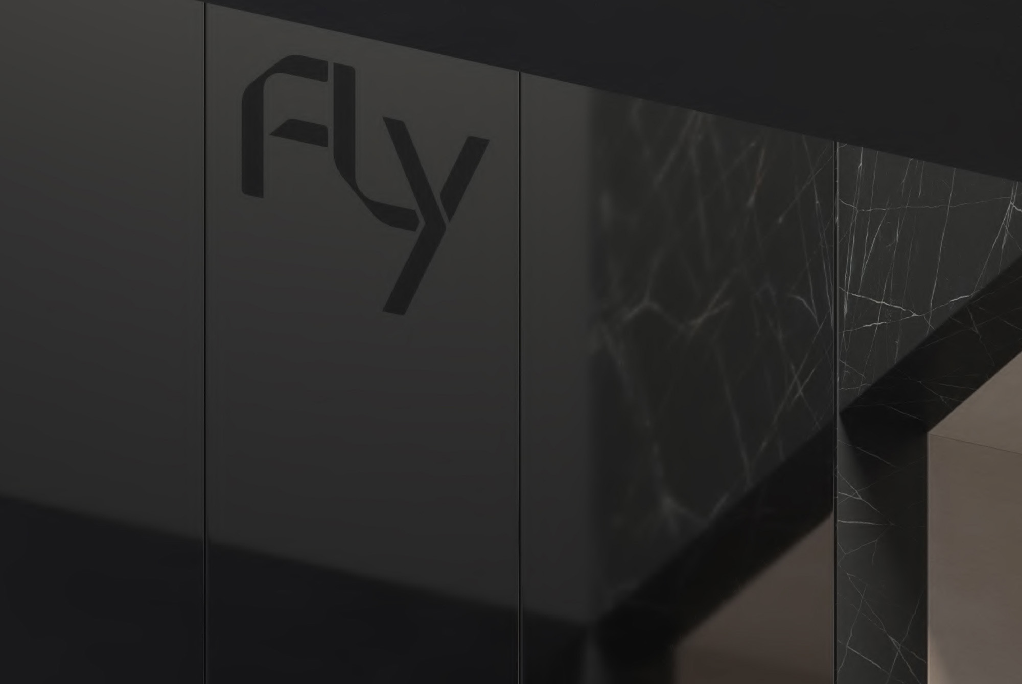Fly Ventures Rebrand – 100 Archive