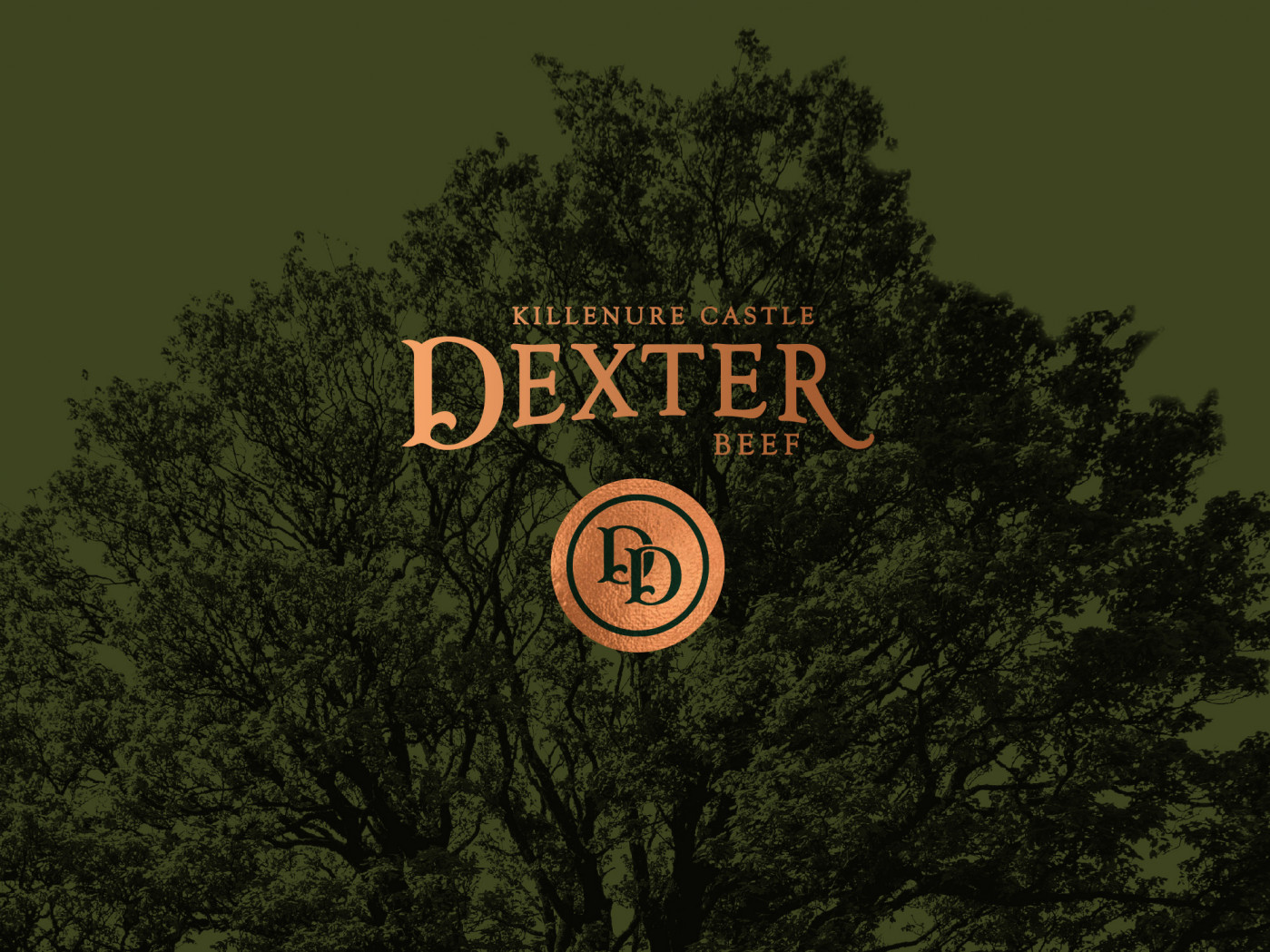 Dundrum Dexter Charcuterie by Killenure Castle – 100 Archive