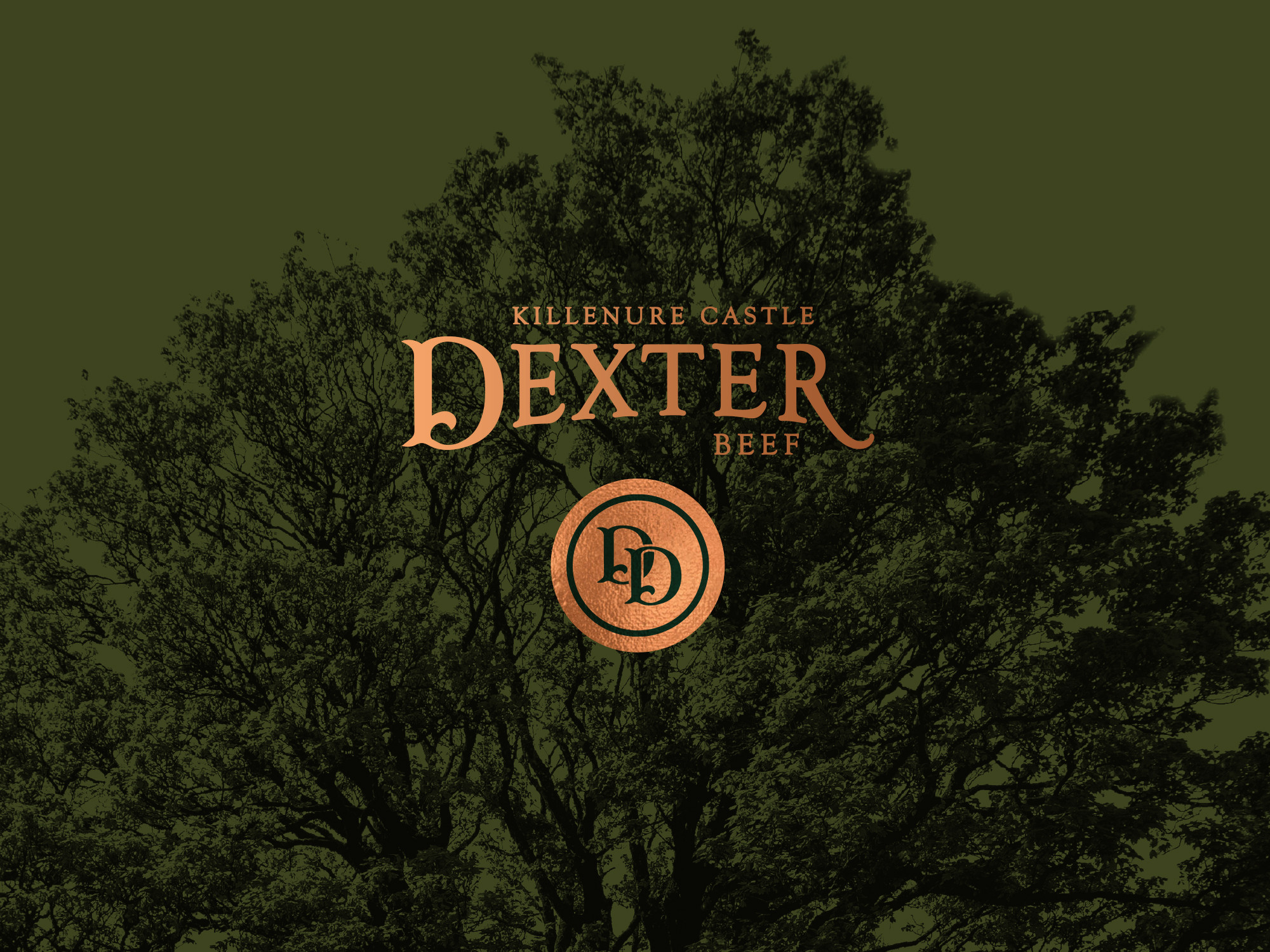 Dundrum Dexter Charcuterie by Killenure Castle – 100 Archive