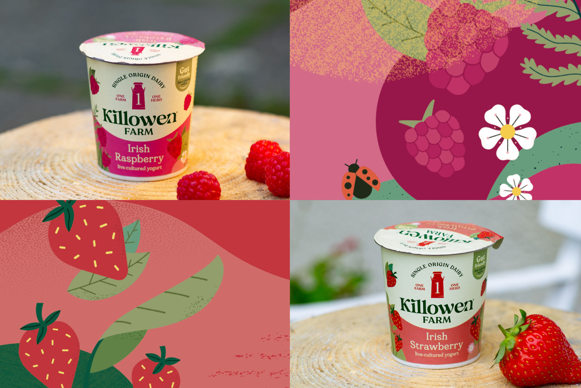 Killowen Farm Rebrand – 100 Archive