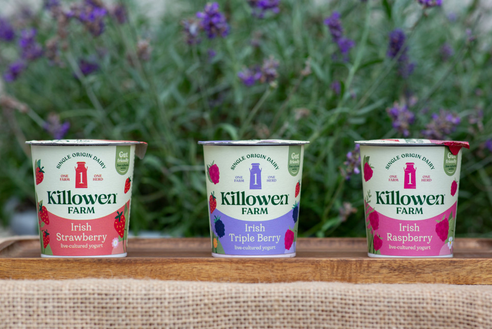 Killowen Farm Rebrand – 100 Archive